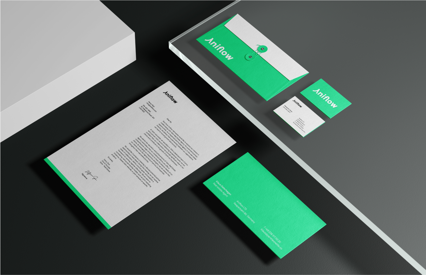 Aniflow - Branding | MonoBook Studio | 2025
